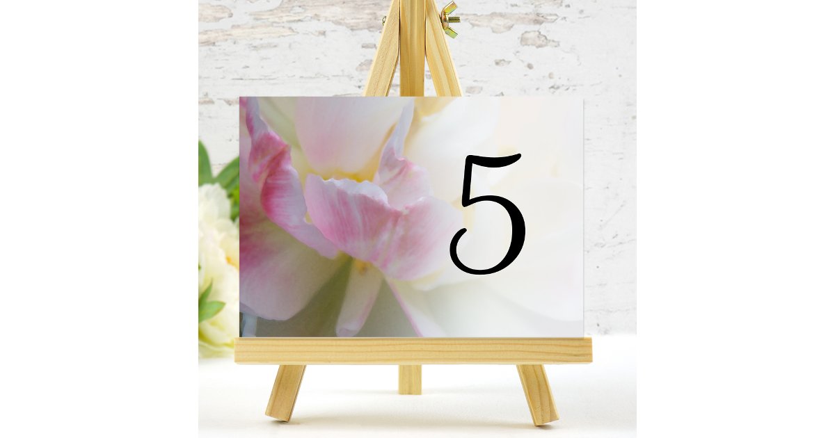 Pink and White Tulip Flower Table Numbers | Zazzle