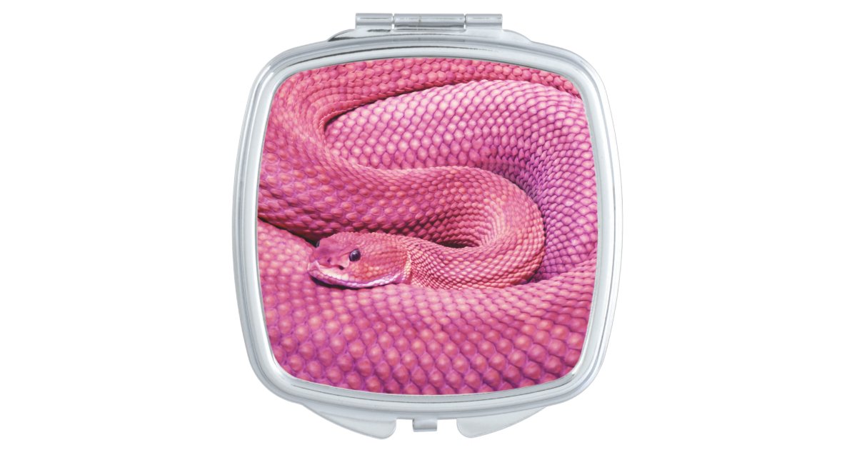 Pink Basilisk Rattlesnake Compact Mirror | Zazzle