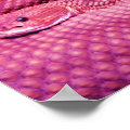 Pink Basilisk Rattlesnake Poster | Zazzle