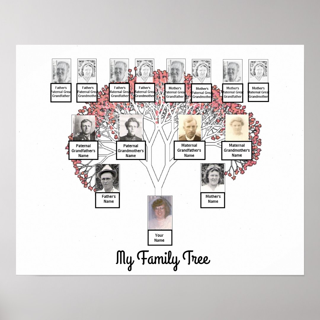 Pink Blossom Fractal Family Tree with Photo Poster | Zazzle