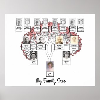 Pink Blossom Fractal Family Tree with Photo Poster | Zazzle