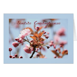 Italian Sympathy Cards - Greeting & Photo Cards | Zazzle