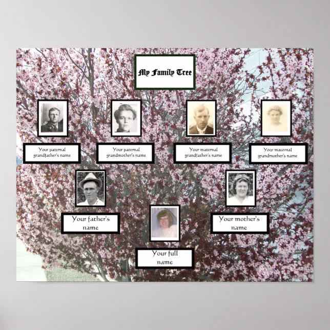 Pink Blossom Three-Generation Photo Family Tree Poster | Zazzle