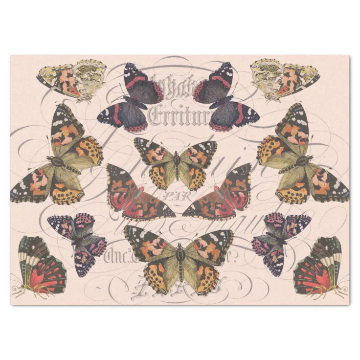 Pink Butterfly Decoupage Tissue Tissue Paper | Zazzle