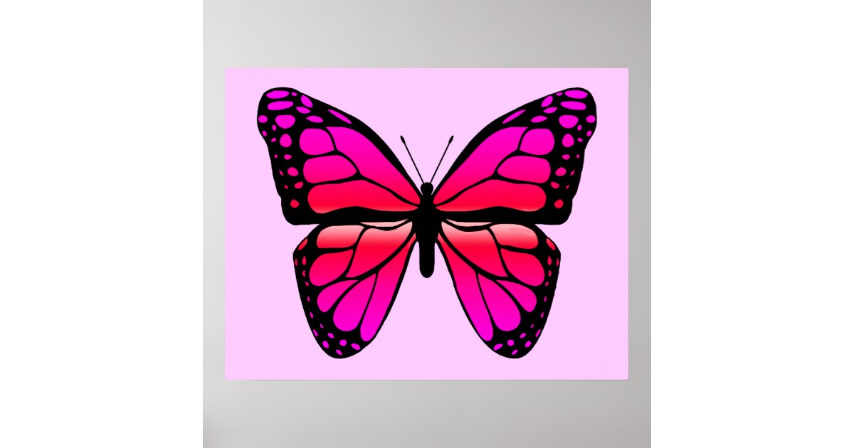 Pink Butterfly Poster | Zazzle