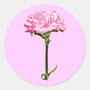 Carnation Stickers | Zazzle