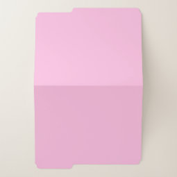 Pink Color File Folder | Zazzle