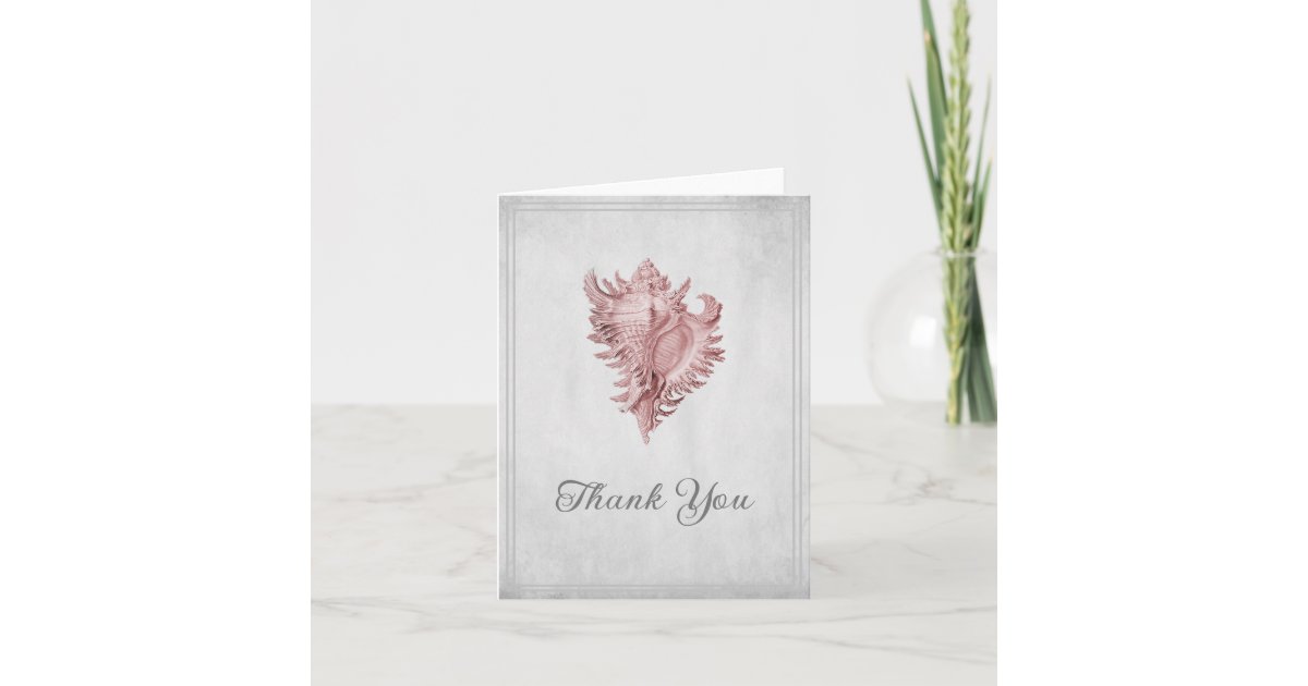 Pink Conch Shell Thank You Card | Zazzle