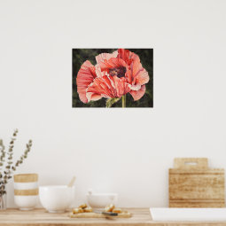 Pink Corn Poppy Botanical Poster Canvas Print | Zazzle