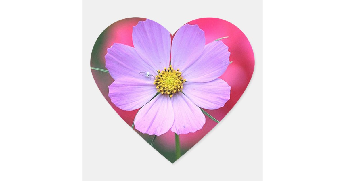 Pink Cosmos Flower Sticker | Zazzle