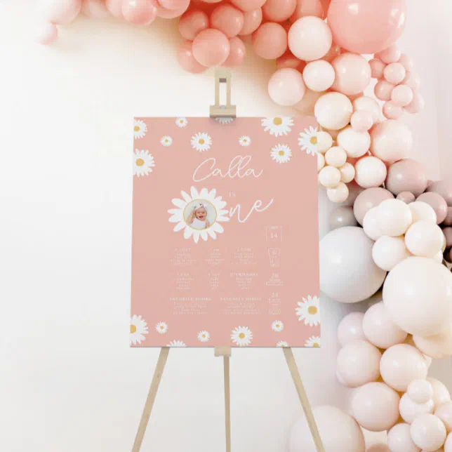 Pink Daisy 1st Birthday Milestone Chart Sign | Zazzle