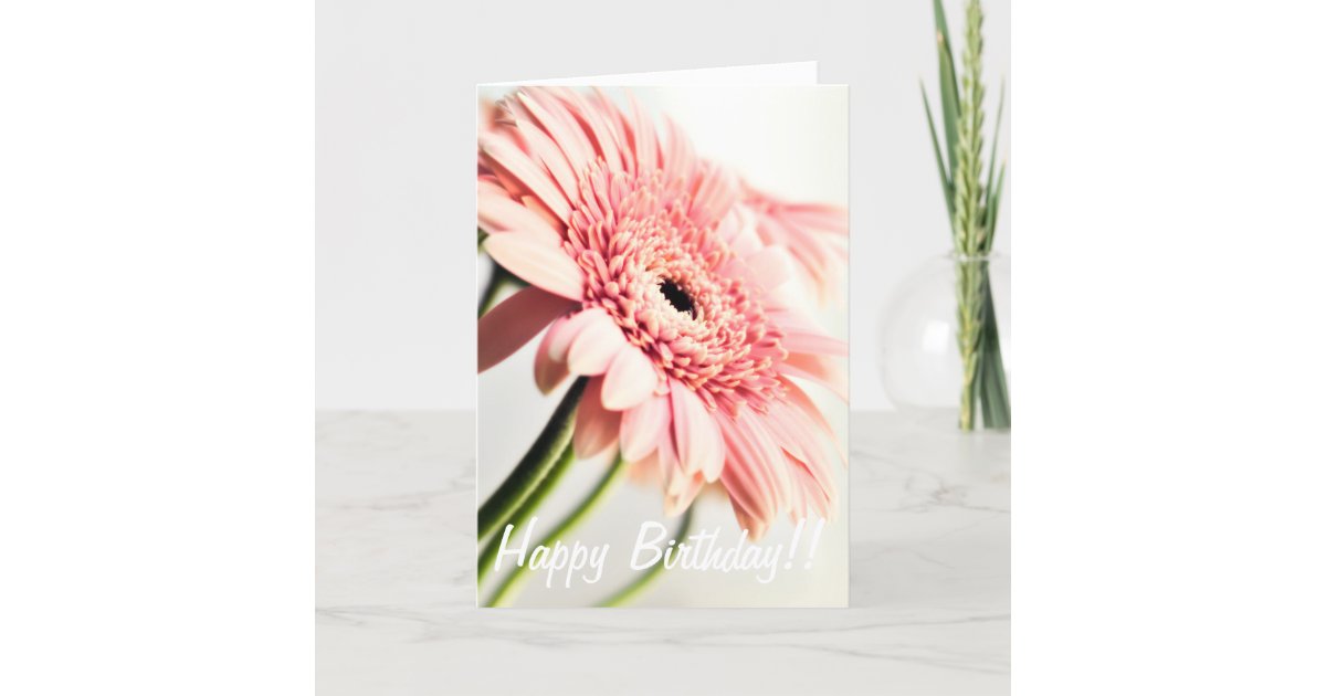 Pink Daisy Birthday Card | Zazzle