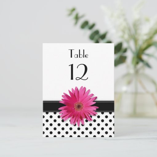 Pink Daisy Black White Polka Dot Wedding Table Postcard | Zazzle