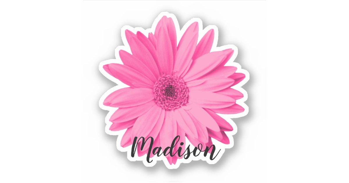 Pink Daisy Flower Name Sticker | Zazzle