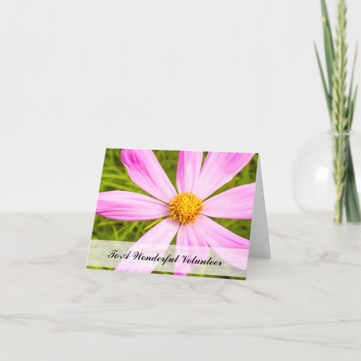 Pink Daisy Thank You Volunteer | Zazzle.com