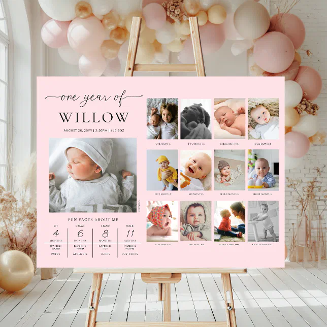 Pink First Birthday Photo Milestone Timeline Foam Board | Zazzle
