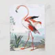Pink Flamingo Bird Vintage Art Postcard | Zazzle