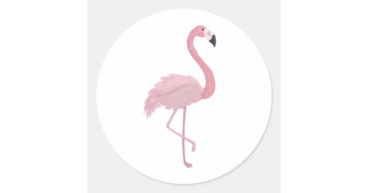 Pink Flamingo Classic Round Sticker | Zazzle