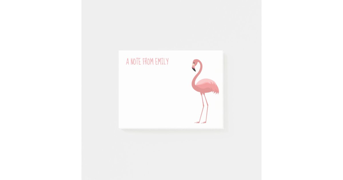 Pink Flamingo Note From | Zazzle