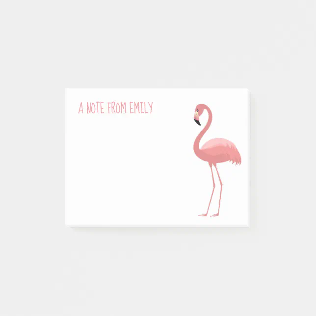 Pink Flamingo Note From | Zazzle