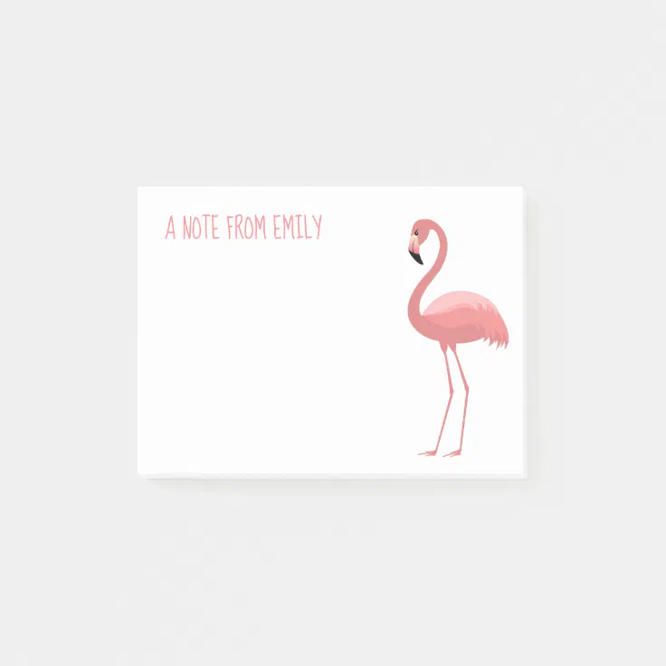Pink Flamingo Note From | Zazzle