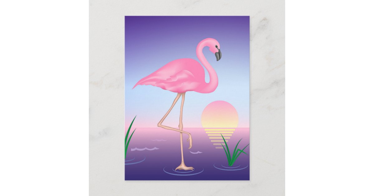 Pink Flamingo Postcard | Zazzle