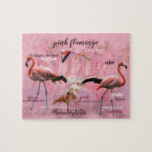 Flamingo Jigsaw Puzzles | Zazzle