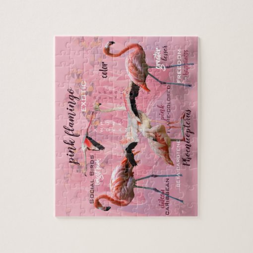 Pink Flamingo Typography | Customized Jigsaw Puzzle | Zazzle