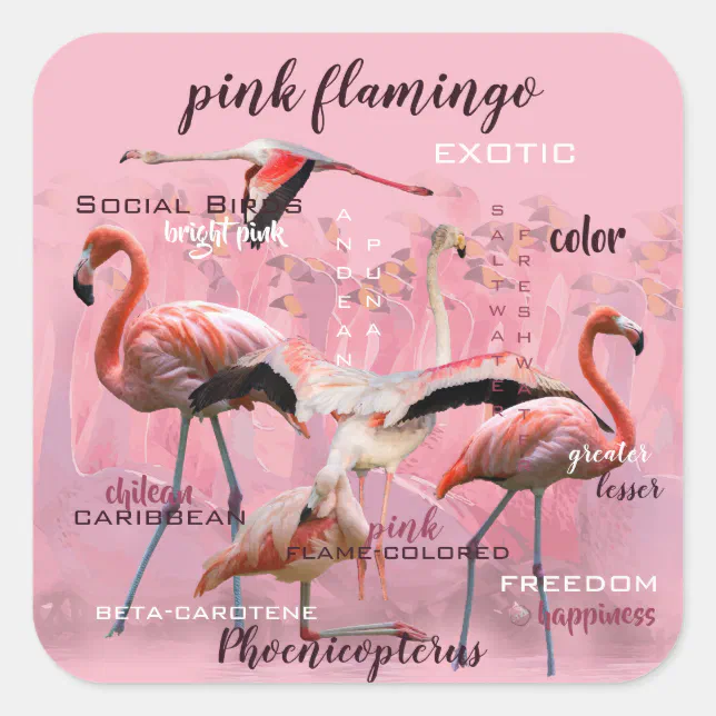 Pink Flamingo Typography | Customized Square Sticker | Zazzle