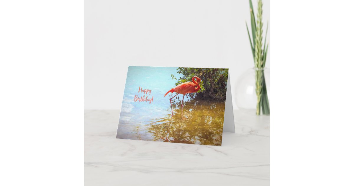Pink Flamingo wading in water Happy Birthday Card | Zazzle
