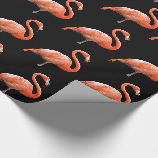 "Pink flamingo" Wrapping Paper | Zazzle