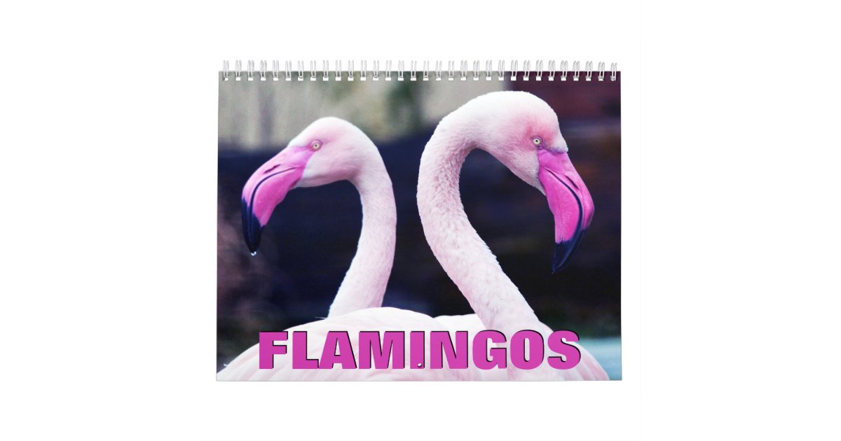 Pink Flamingos Wall Calendar | Zazzle