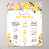 Pink Floral Lemon Girl 1st Birthday Milestone Sign | Zazzle