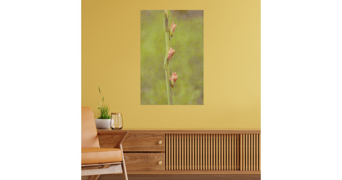 Pink Flower Buds Gladiolus Art Poster | Zazzle