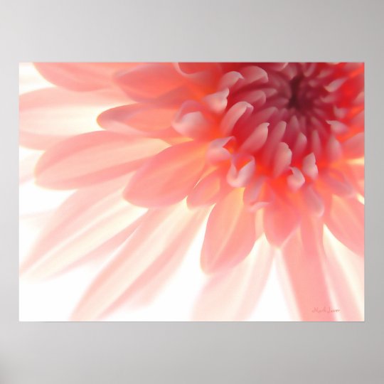 Pink Flower Petals Abstract Poster | Zazzle.com