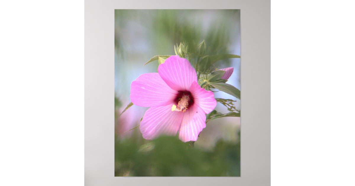 Pink Flower Photo Poster | Zazzle