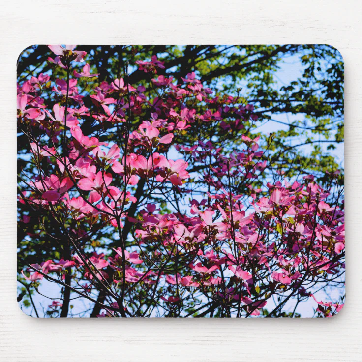 Pink flowering Dogwood tree Mouse Pad | Zazzle