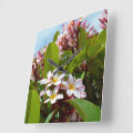 Pink Flowering Frangipani Tree, Square Wall Clock | Zazzle