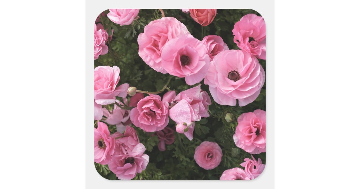 Pink flowers sticker | Zazzle