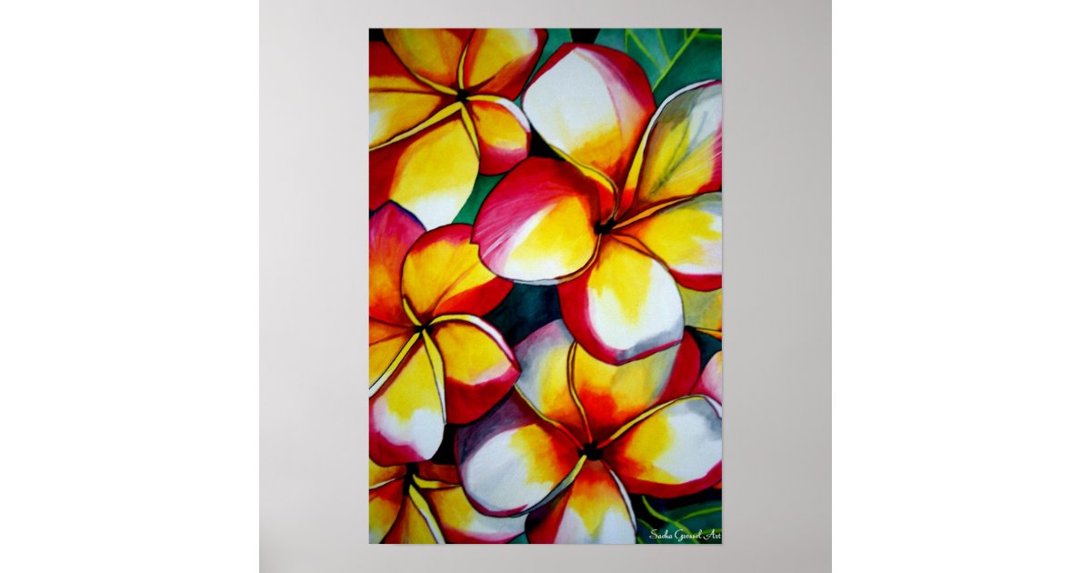 Pink Frangipani art poster by Sacha Grossel Art | Zazzle