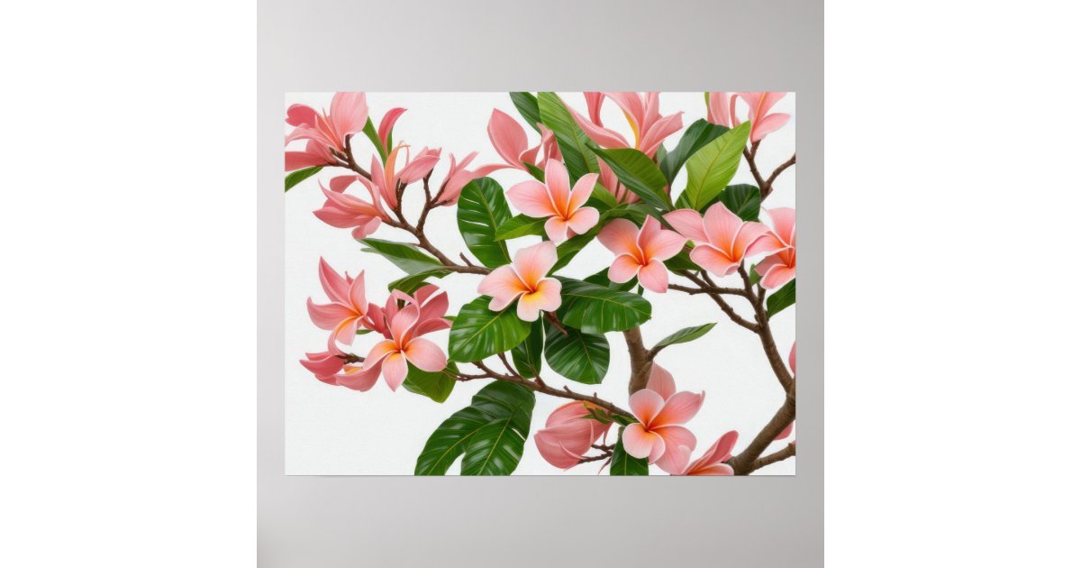 Pink Frangipani Flower Poster | Zazzle