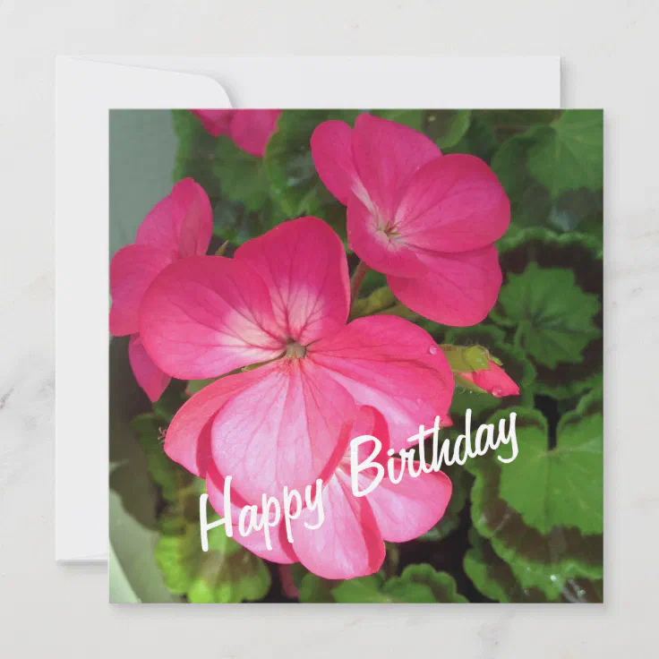 Pink Geranium Birthday Card | Zazzle