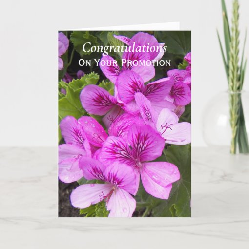 Pink Geraniums Floral Promotion Congratulations Card | Zazzle