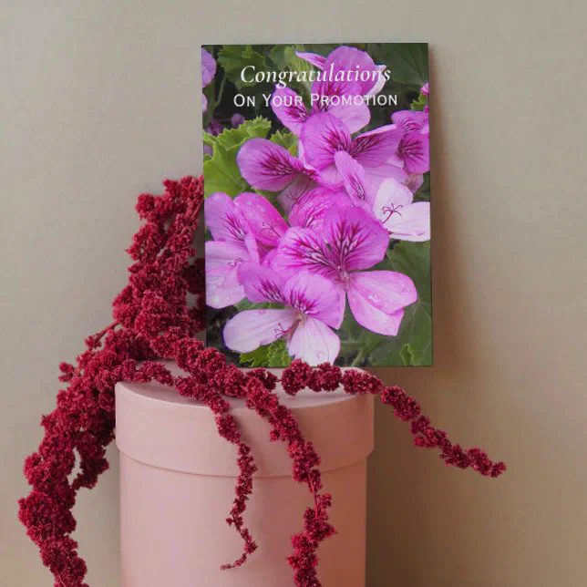 Pink Geraniums Floral Promotion Congratulations Card | Zazzle
