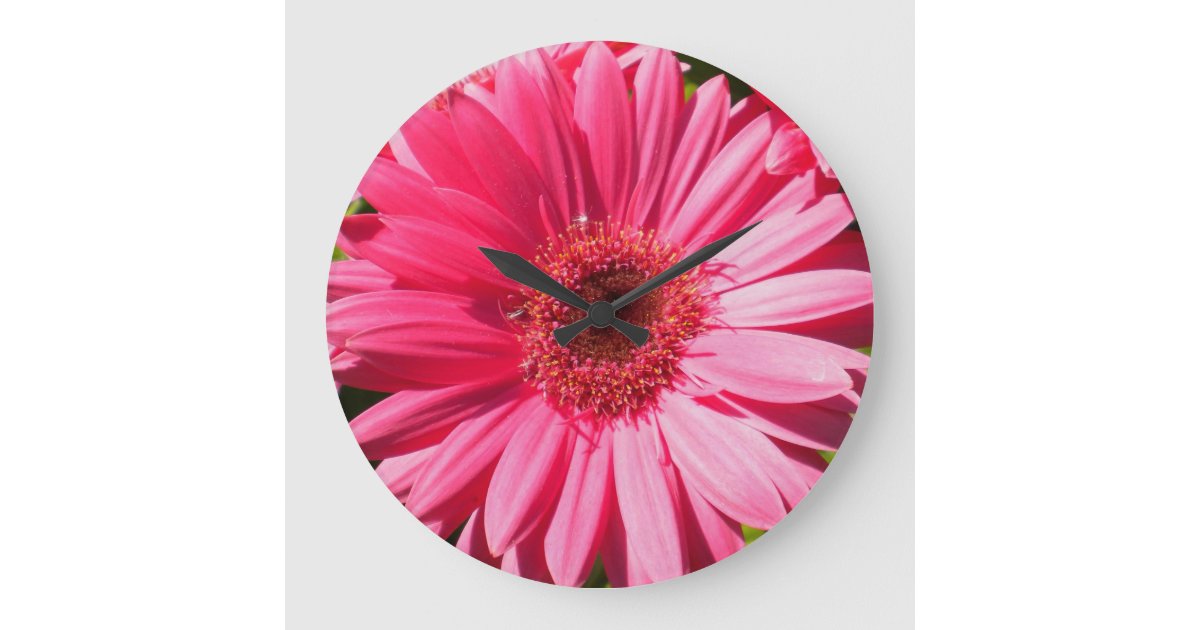 Pink Gerbera Daisy Wall Clock | Zazzle
