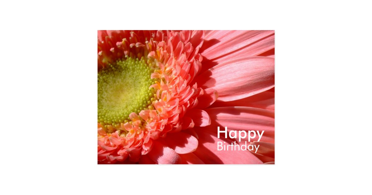 Pink Gerbera - Happy Birthday Postcard | Zazzle.com