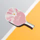 Pink Groovy Daisy Retro 70s Add Custom Name Girly Pickleball Paddle ...