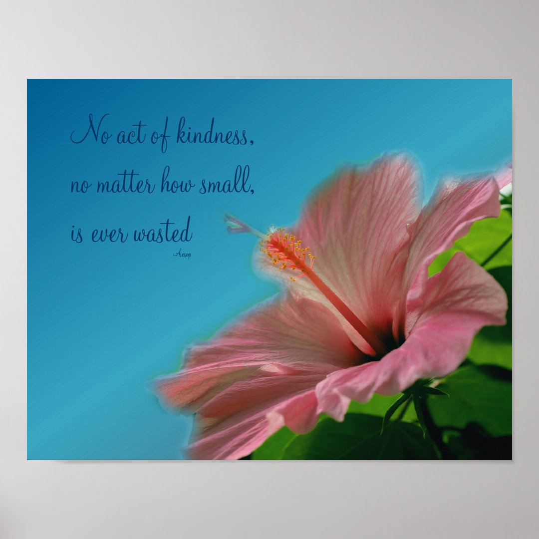 Pink Hibiscus Flower Kindness Quote Inspirational Poster | Zazzle