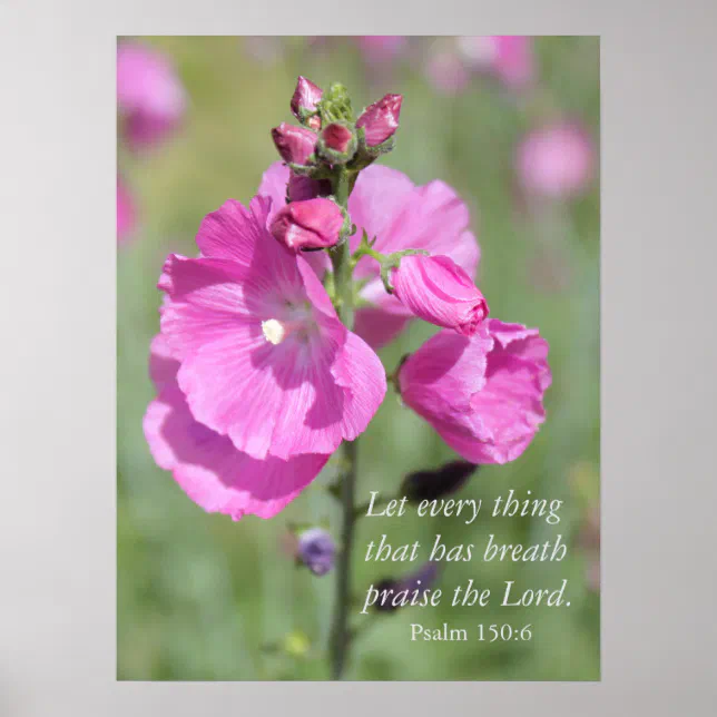 Pink Hollyhock Praise Poster | Zazzle