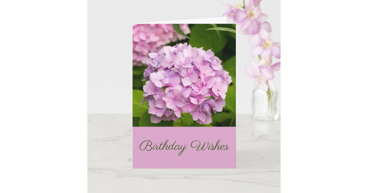 Pink Hydrangea Birthday Wishes Greetings Card | Zazzle